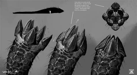 The Hobbit The Battle Of The Five Armies Andrewbaker