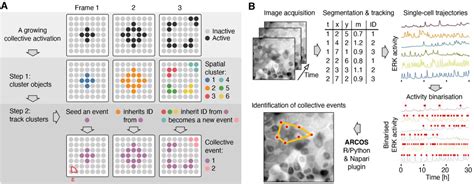 Microscopy Preprints Bioimage Analysis Tools Focalplane