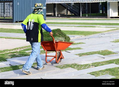 Labor Gardener Worker Man Farmers Are Trolley Wheeled Barrow With