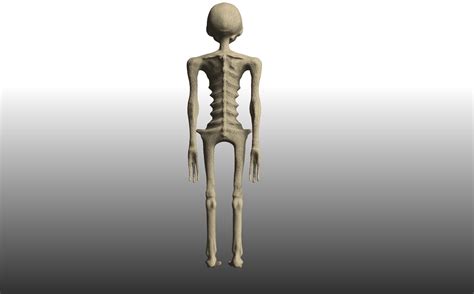 Mexico Alien 3d Model 3d Printable Cgtrader