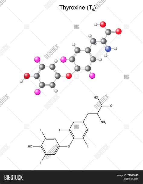 Structural Chemical Vector And Photo Free Trial Bigstock