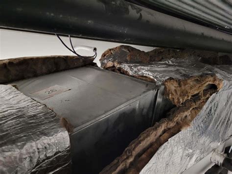 Lazy R Shameful Insulation