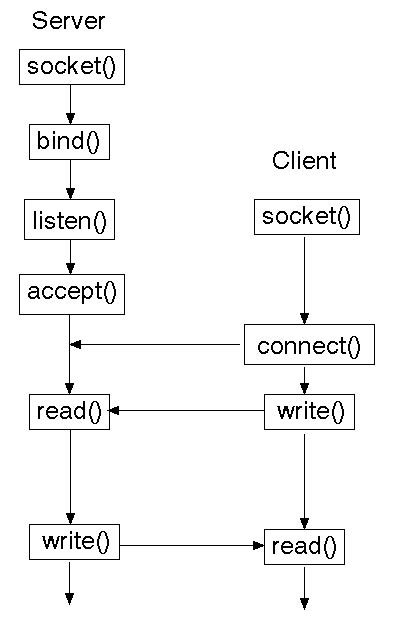 Client Server Computing Unix Sockets And Rpc
