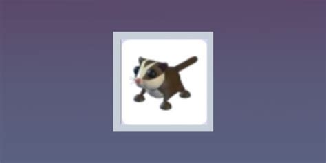Buy Item Sugar Gliders Adopt Me Roblox 1736961 Itemku