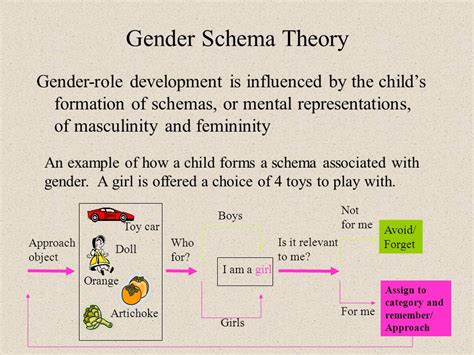 Gender Schema Theory Understanding Gender Development In Feminist Psychology Gender Schema Theory Understanding Gender Development In Feminist Psychology