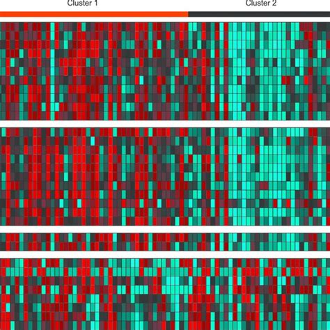 Anna Obenauf Research Institute Of Molecular Pathology Vienna Imp