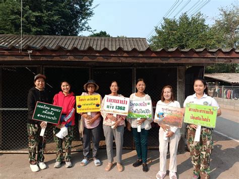 อุทยานแห่งช อุทยานแห่งชาติแม่ปิง Mae Ping National Park