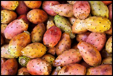 Elevation Map Of Eritrea Topographic Map Altitude Map