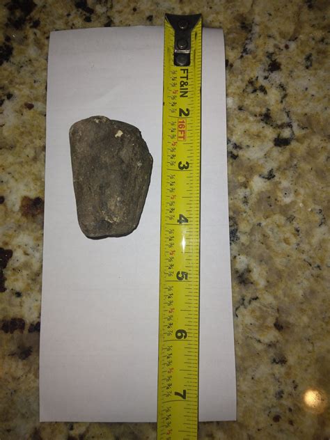 Is This A Humerus Fragment Fossil Id The Fossil Forum