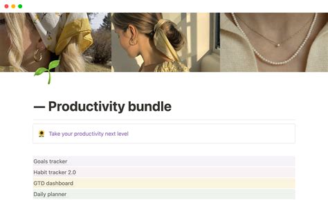 productivity bundle notion template