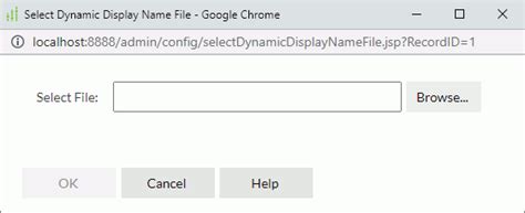 Select Dynamic Display Name File Dialog Box Properties Report