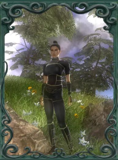 Playable Companions At Jade Empire Nexus Mods And Community