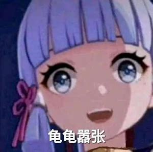 神里绫华乌龟是什么梗 神里绫华乌龟梗意思介绍 星芒手游网