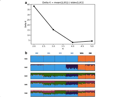 bayesian clustering analysis of combined 2002 microsatellite and mtdna