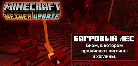 Скачать Майнкрафт 1 16 40 — Nether Update