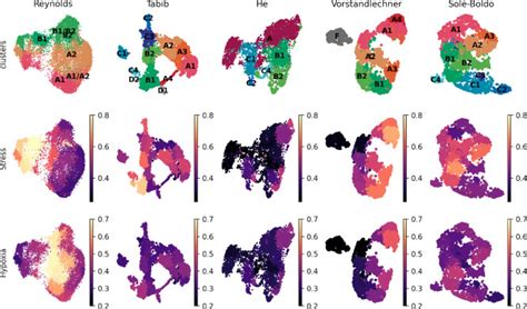 The Need To Reassess Single Cell Rna Sequencing Datasets Rna Seq Blog