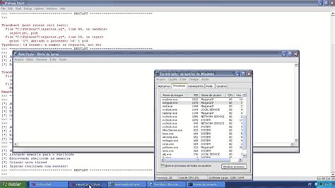 Code Injection Python Script Youtube