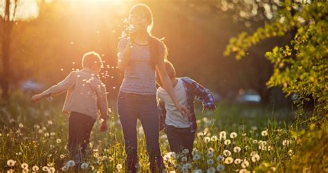 Tree Pollen Allergy Symptoms Allergy Insider