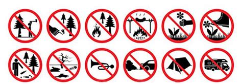 Запрещающие Знаки В Лесу Картинки – Telegraph