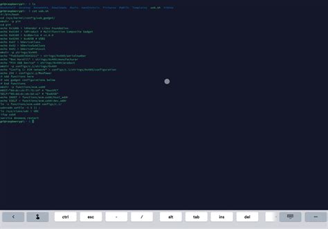 use raspberry pi 4 usb c data connection to connect with ipad pro