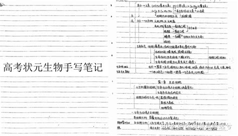 高考状元生物手写笔记（可打印）条理清晰，知识点比教材都全面 知乎