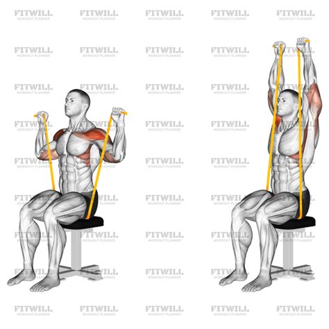 Resistance Band Seated Shoulder Press Exercise Guide Techniques Benefits How To Muscles