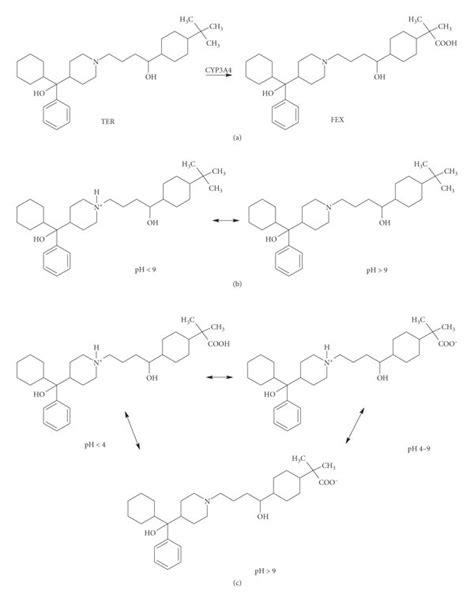 A In Vivo Conversion Of Terfenadine Ter To Fexofenadine Fex B Download Scientific