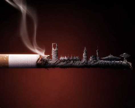 Tobacco Wallpapers Top Free Tobacco Backgrounds Wallpaperaccess