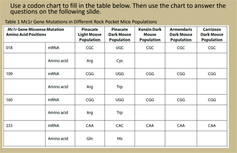 Solved Use A Codon Chart To Fill In The Table Below Then Chegg Com