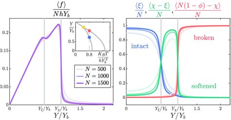 Ductile Response Of The Fracture Phenomenon T