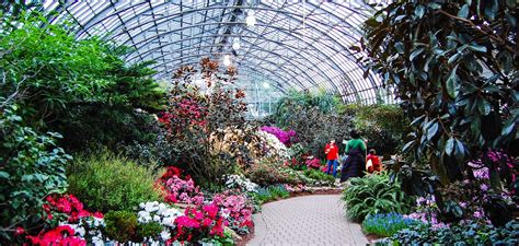 Garfield Park Conservatory Spring Flower Show Enjoy Illinois Enjoy