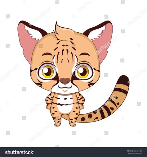 24 Kodkod 图片、库存照片和矢量图 Shutterstock