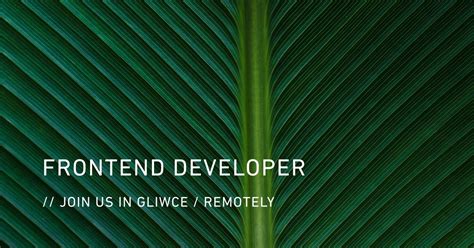 enginiety on linkedin ninja angular vue javascript typescript