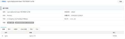查看容器组用户指南容器服务kubernetes版企业版