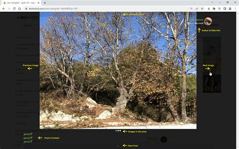 Github Bk Eksi Gallery Extension This Chrome Extension Allows You To View The Images In The