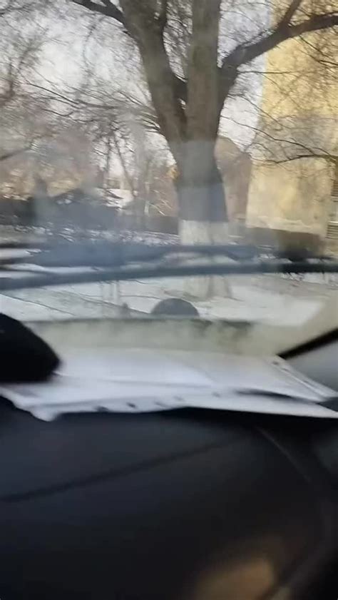 ОБЩЕСТВЕННЫЙ ФОНДДоброе Сердце Уральск 🆘🆘🆘 Помогите спасти котенка Не знаем откуда появился