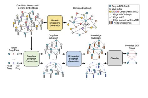 Knowddi Accurate And Interpretable Drug Drug Interaction Prediction Enabled By Knowledge