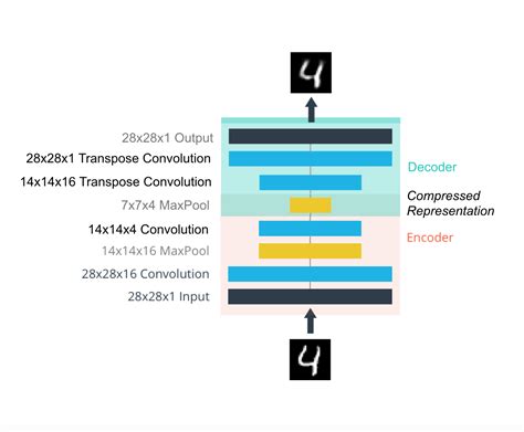 N N Here Our Final Encoder Layer Has Size 7x7x4
