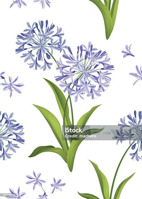 아가판투스 꽃 이나 아프리카 백합 배경 템플릿의 원활한 패턴 웨딩 초대장 인사말 카드 브로셔 배너 및 패션 디자인을위한 벡터 꽃