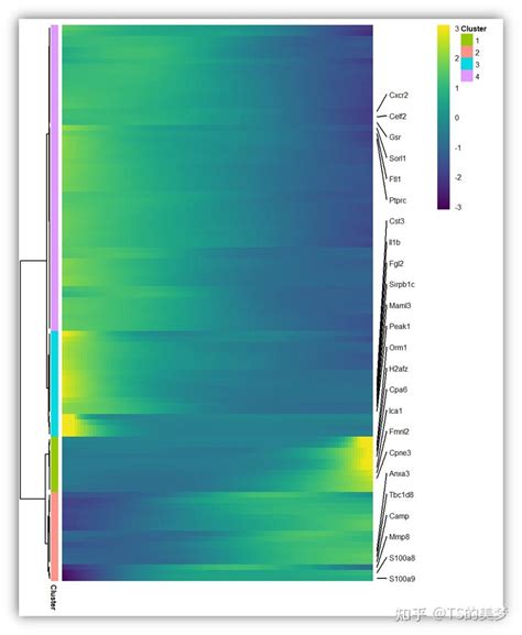 Monocle2拟时基因富集分析 知乎