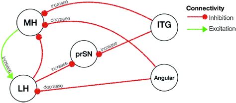 Effective Connectivity Of Bmi Red Green Arrows Indicate Download Scientific Diagram