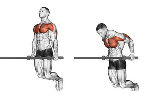10 Best Chest Exercises For Men Man Of Many