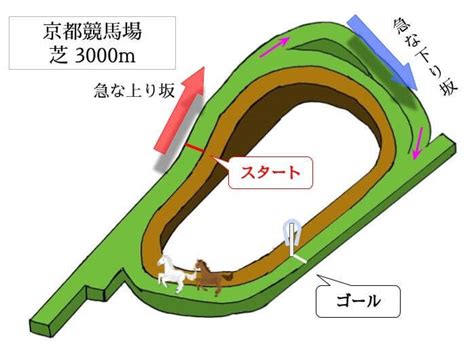 京都競馬場 芝3000mの特徴と攻略情報まとめ｜初心者向けにわかりやすく解説！ うましる