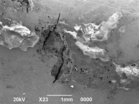 Bio Corrosion Basics What Is Mic Corrosion Institute Of Corrosion