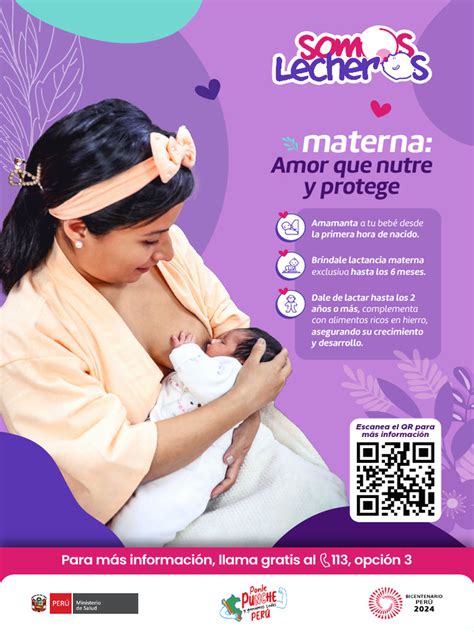 Afiche Lactancia Materna Pdf