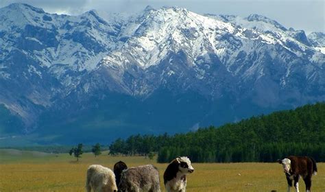 Монголын долоон гайхамшиг