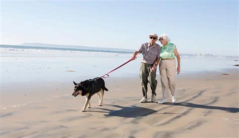 Tissue Regenix Doubles Medicare Coverage For Skin Graft Aim Trx
