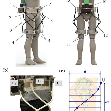 Design Of The Parallel Hip Exoskeleton A Cad Models 1 Pulley 2 Download Scientific