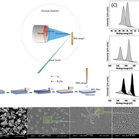 a schematic representation of preparation pd wo3 samples coloration