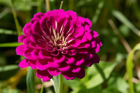 Imgp7343 Conor Brown Flickr